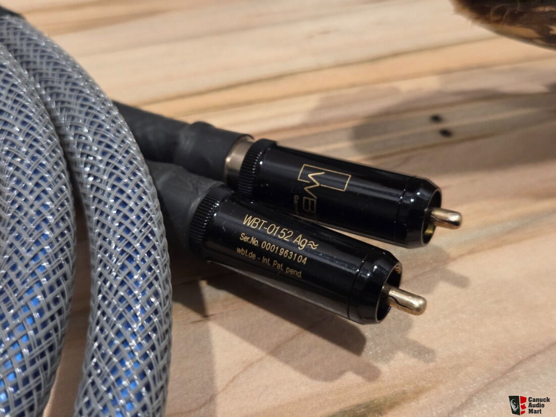 Audio Art Cable Statement e IC Silver OCC RCA 1M Photo #5670507 ...