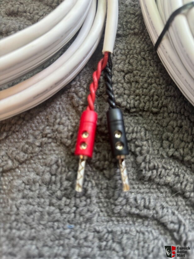 Audioquest Rocket 11 Pre-terminated Sure-grip Audioquest Silver 10 ...