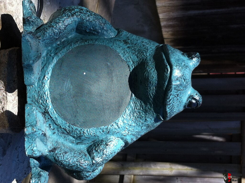 Frog outdoor speakers Photo #568691 - Canuck Audio Mart