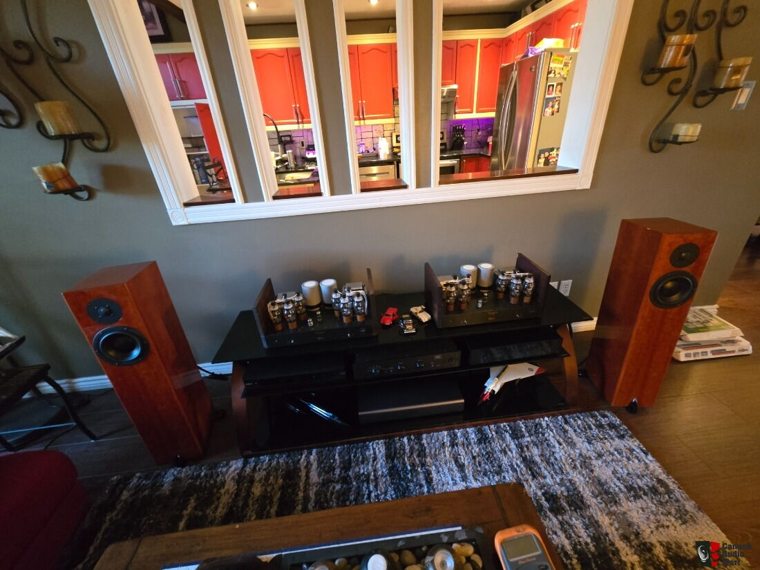 Totem Forest Signatures Photo #5689282 - Canuck Audio Mart