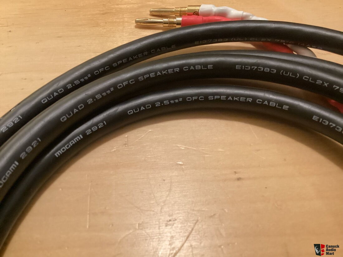 Mogami 2921 OFC Speaker Cables Photo #5691093 - Canuck Audio Mart