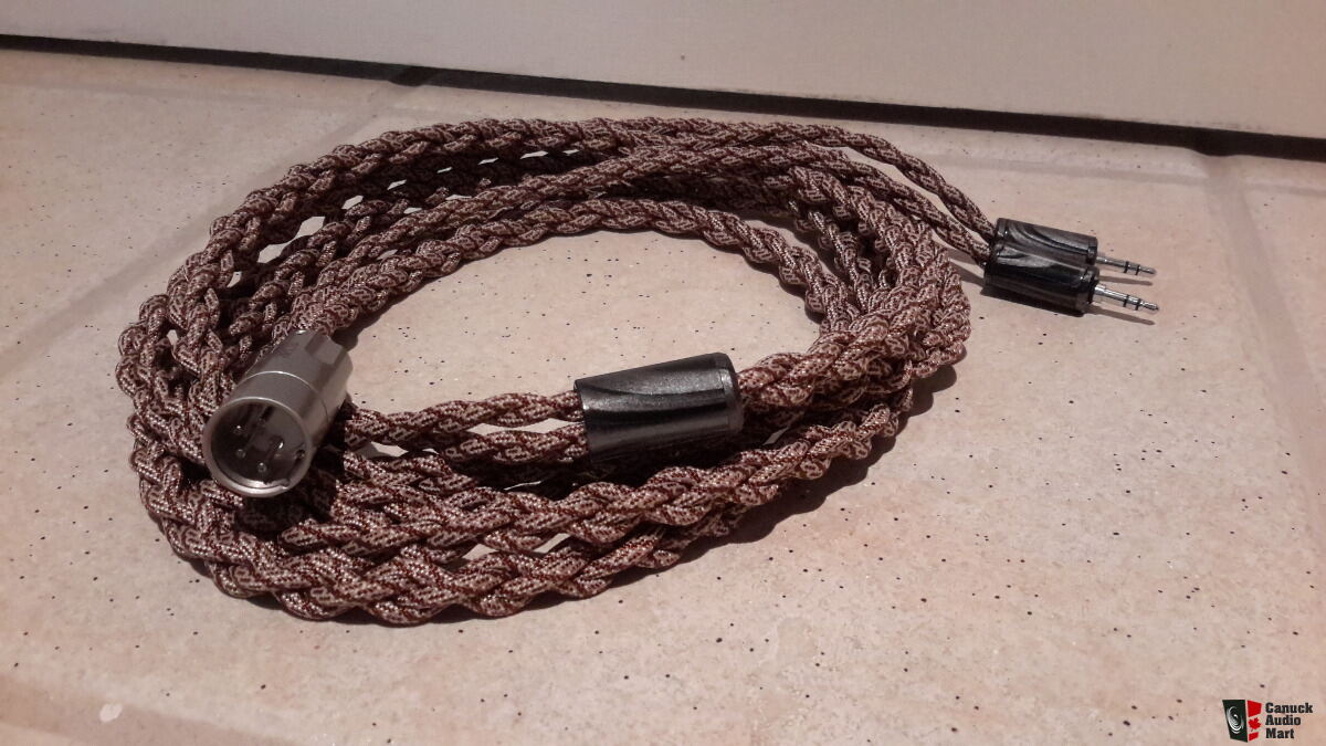 Arctic Cables Pallas V2 10 feet, 3.5mm/3.5mm to 4-pin Balanced, Hifiman ...