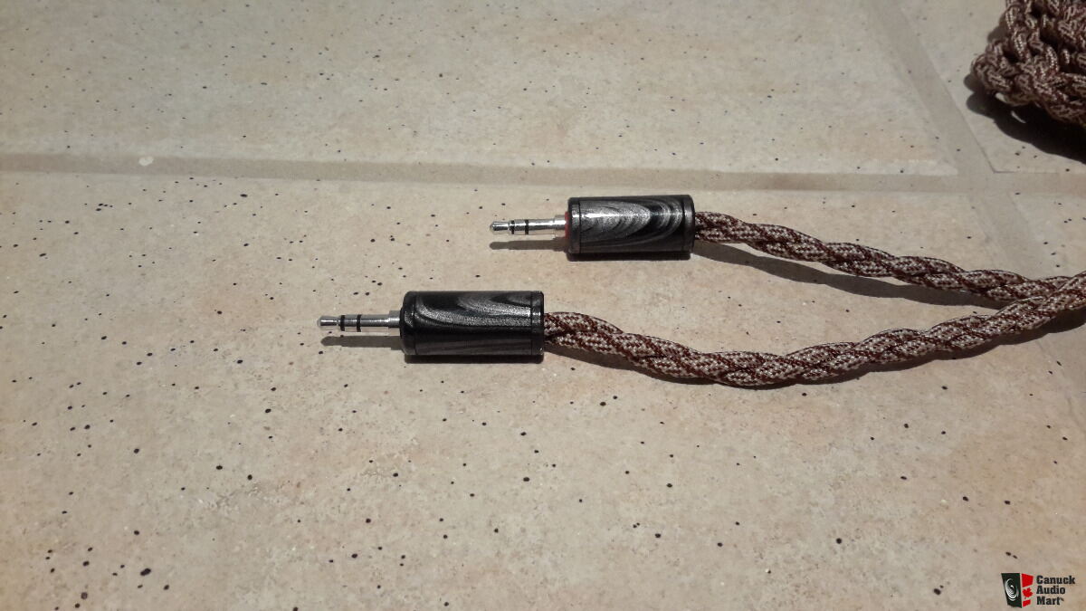 Arctic Cables Pallas V2 10 feet, 3.5mm/3.5mm to 4-pin Balanced, Hifiman ...