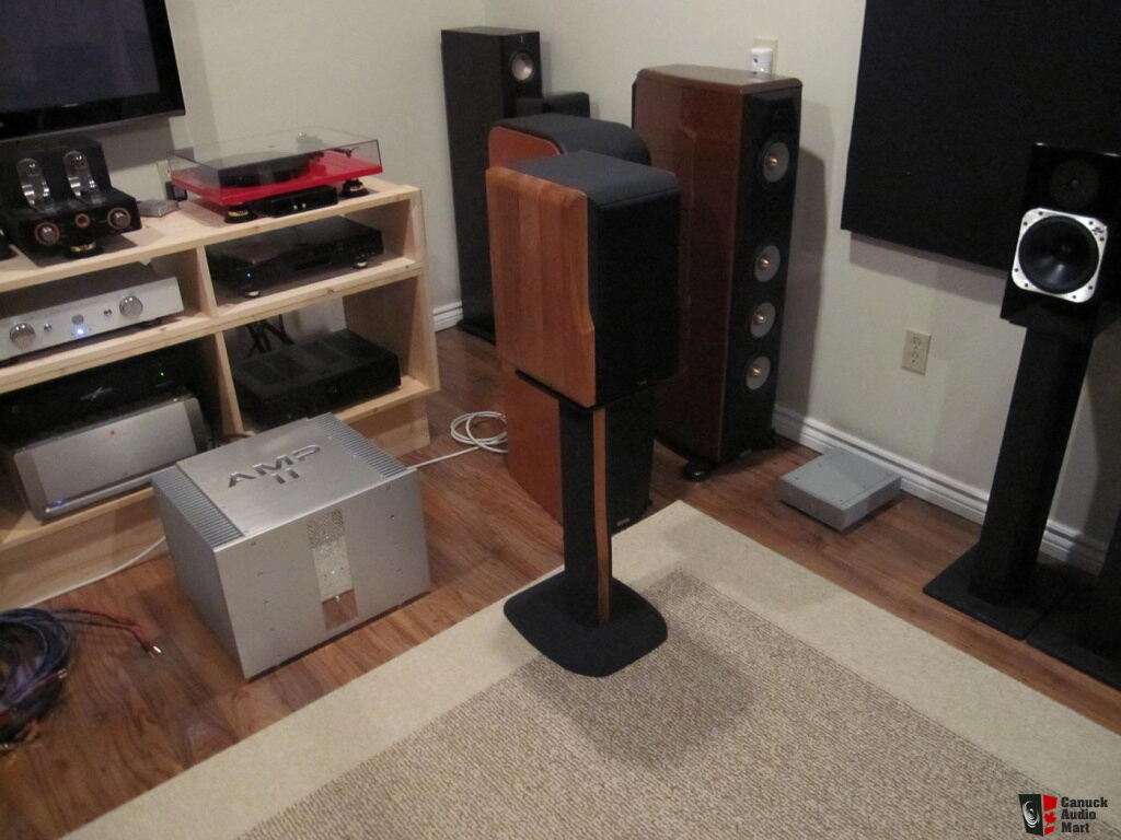 Chario Delphinus Bookshelf Speakers with Stands - URBANE AUDIO Photo ...