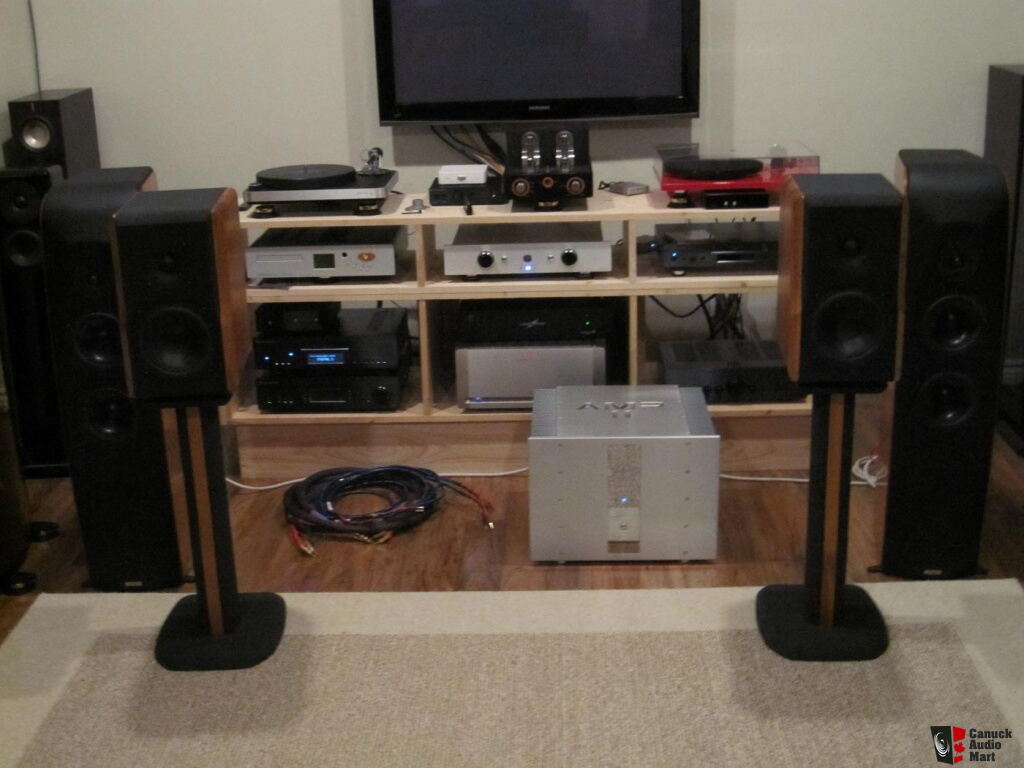 Chario Delphinus Bookshelf Speakers with Stands - URBANE AUDIO Photo ...