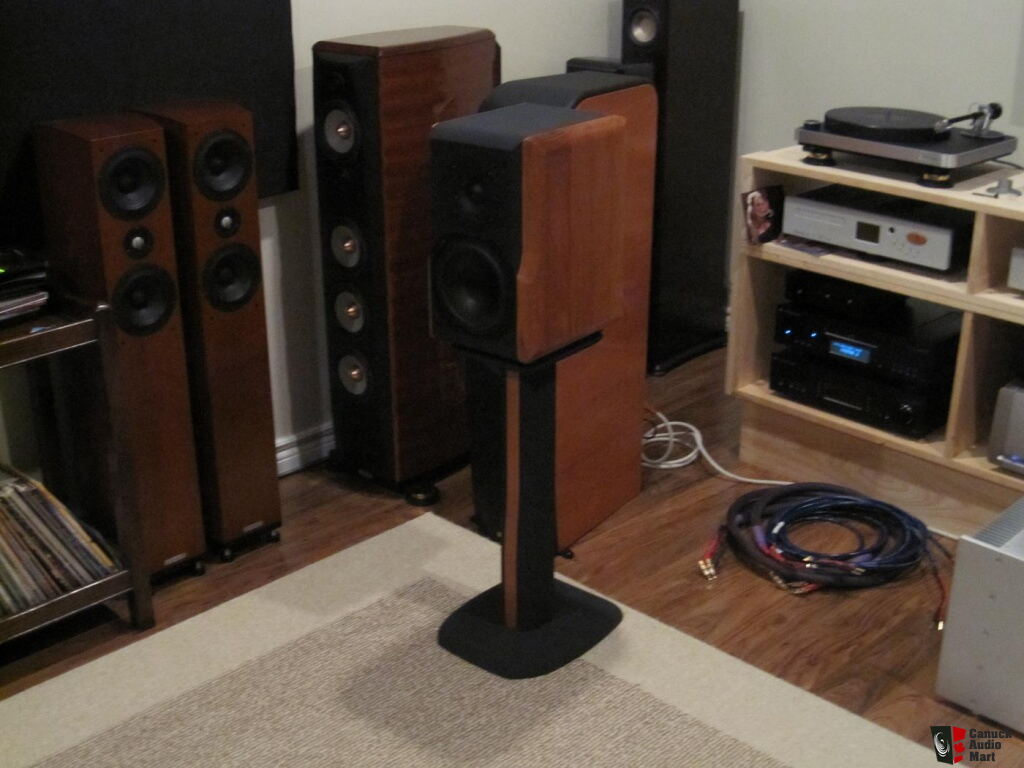 Chario Delphinus Bookshelf Speakers with Stands - URBANE AUDIO Photo ...
