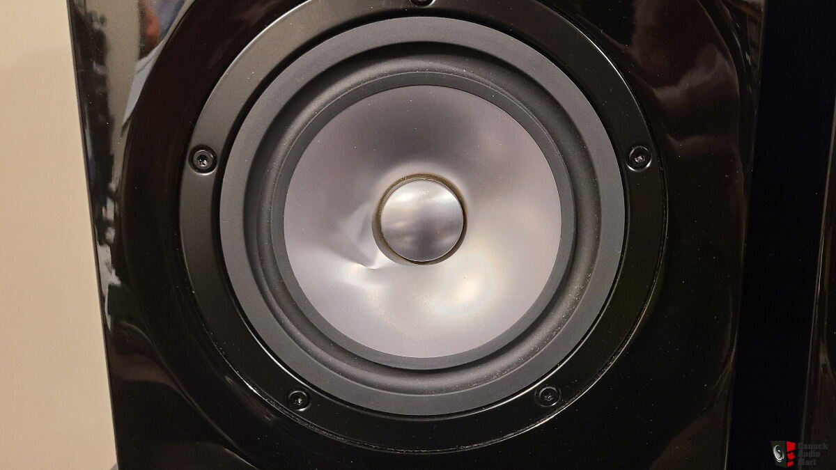 Markaudio-Sota Cesti B Loudspeakers Photo #5702965 - Canuck Audio Mart