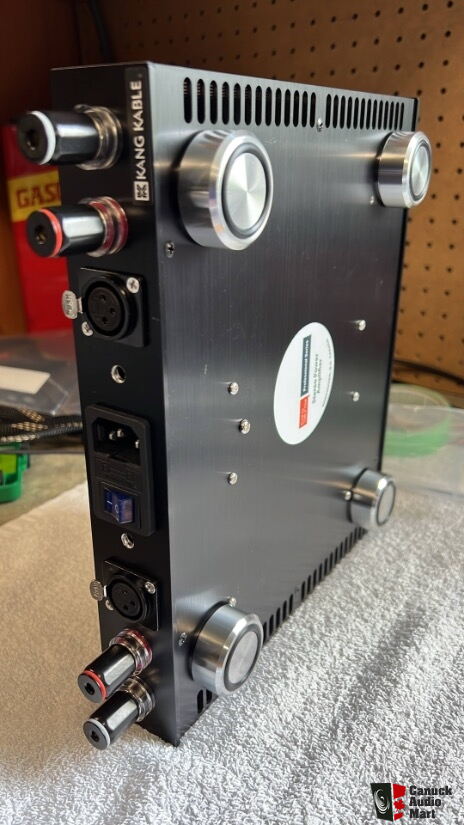 KangSound Stereo Mono Block Amplifiers D-class Photo #5704016 - Canuck ...