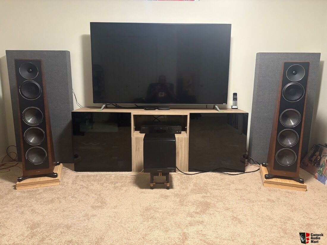 Paradigm Founder 100F Photo #5710895 - Canuck Audio Mart
