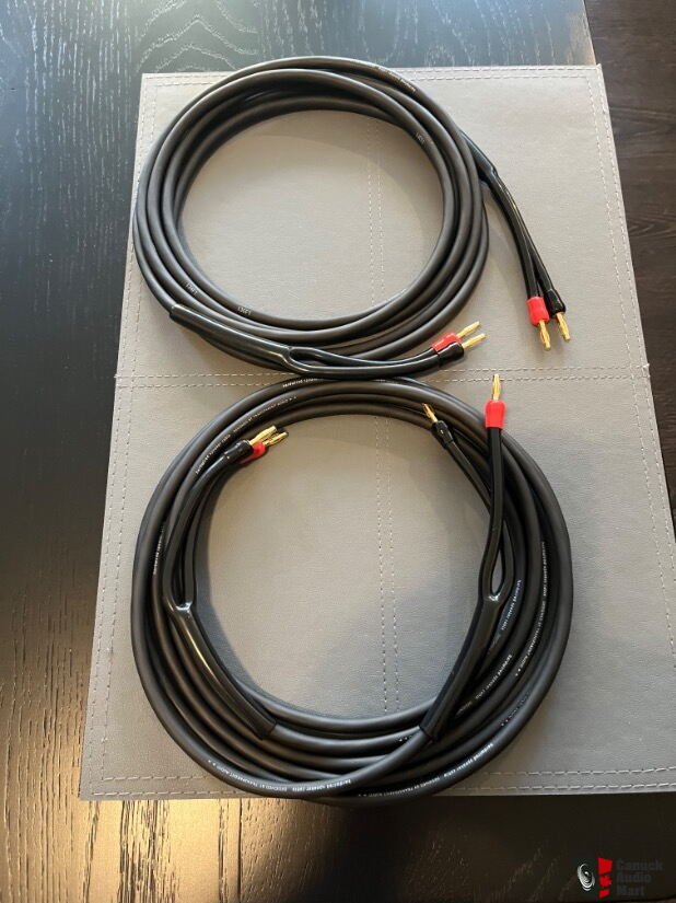 Transparent Hard Wired Speaker Cable 12 For Sale - Canuck Audio Mart