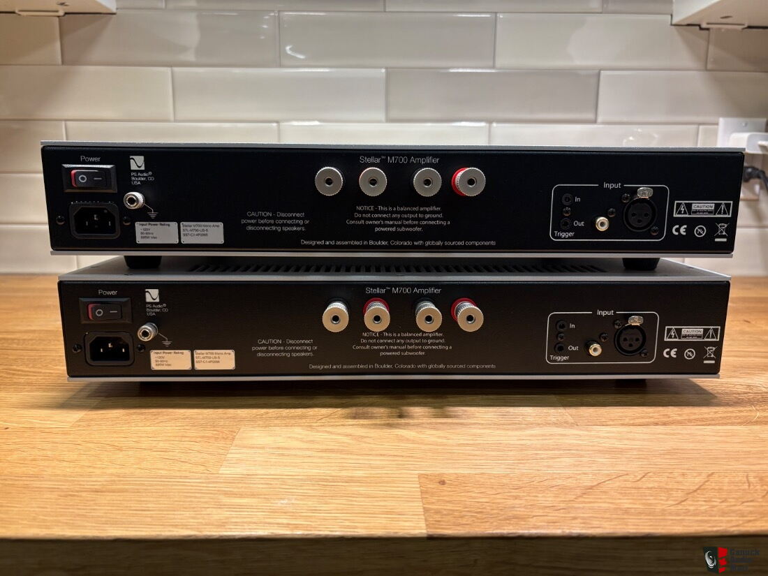 PS Audio M700 Mono Blocks Photo #5717345 - Canuck Audio Mart