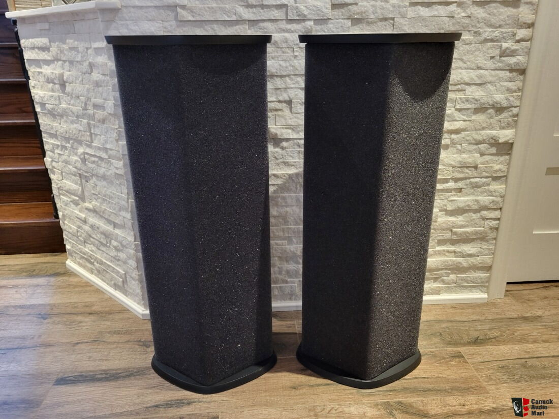 Rare Audiophile Speakers - DCM Time Window For Sale - Canuck Audio Mart