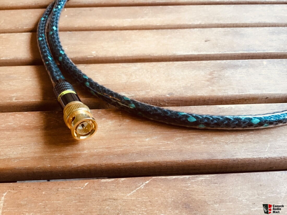 Straightwire Info Link BNC 1m and AES/EBU 5ft Cables Photo #5719044 ...