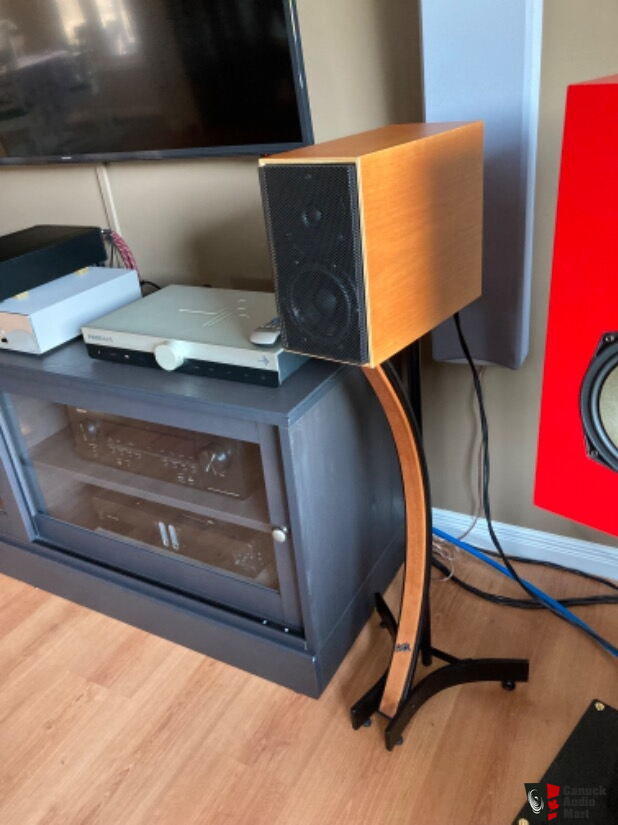 Penaudio Rebel 3 // Simply amazing for small to medium size rooms with ...