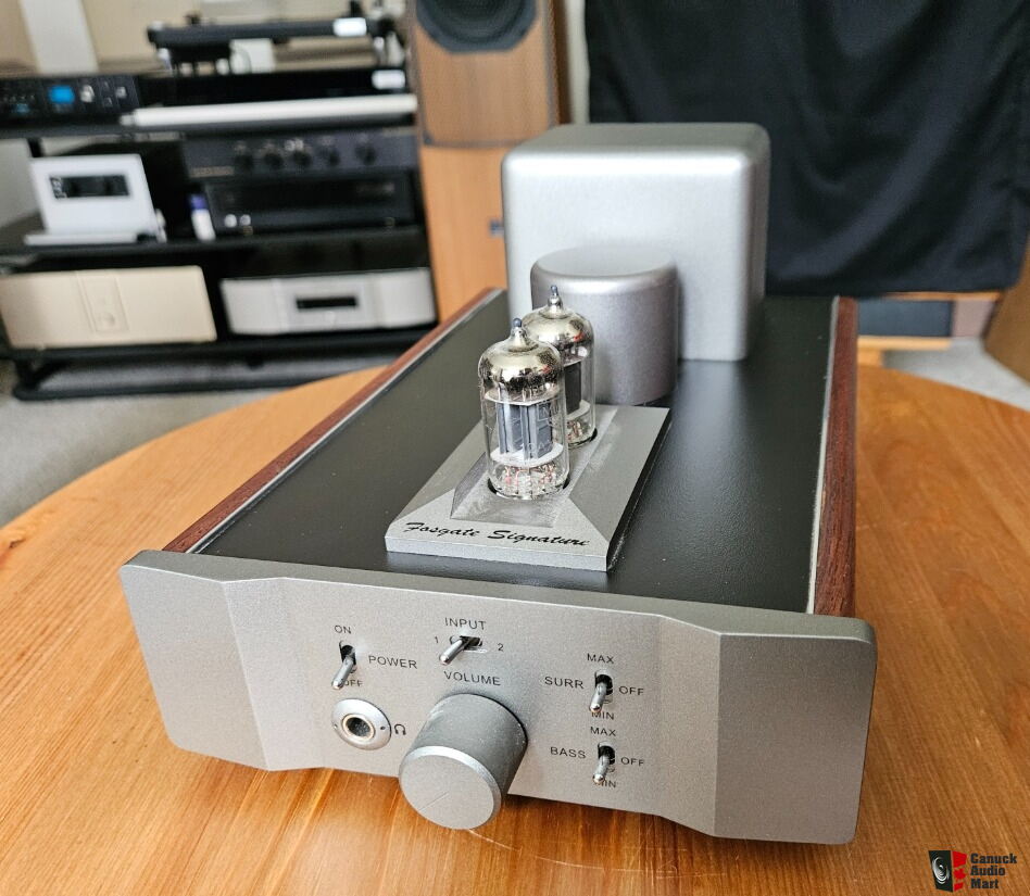 Fosgate Signature Tube Headphone Amp - rare! For Sale - US Audio Mart