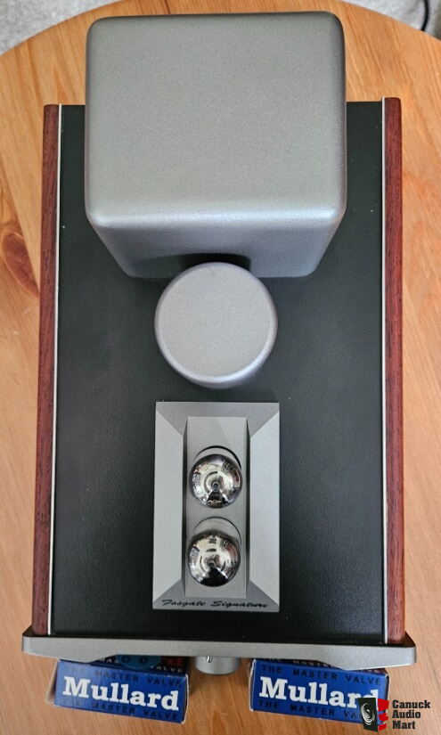 Fosgate Signature Tube Headphone Amp - rare! Photo #5722304 - Canuck ...