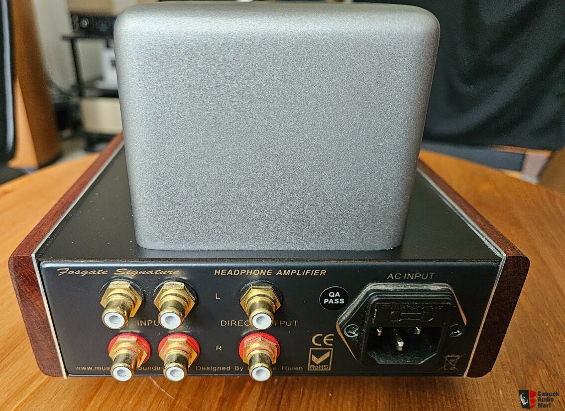 Fosgate Signature Tube Headphone Amp - rare! Photo #5722304 - Canuck ...