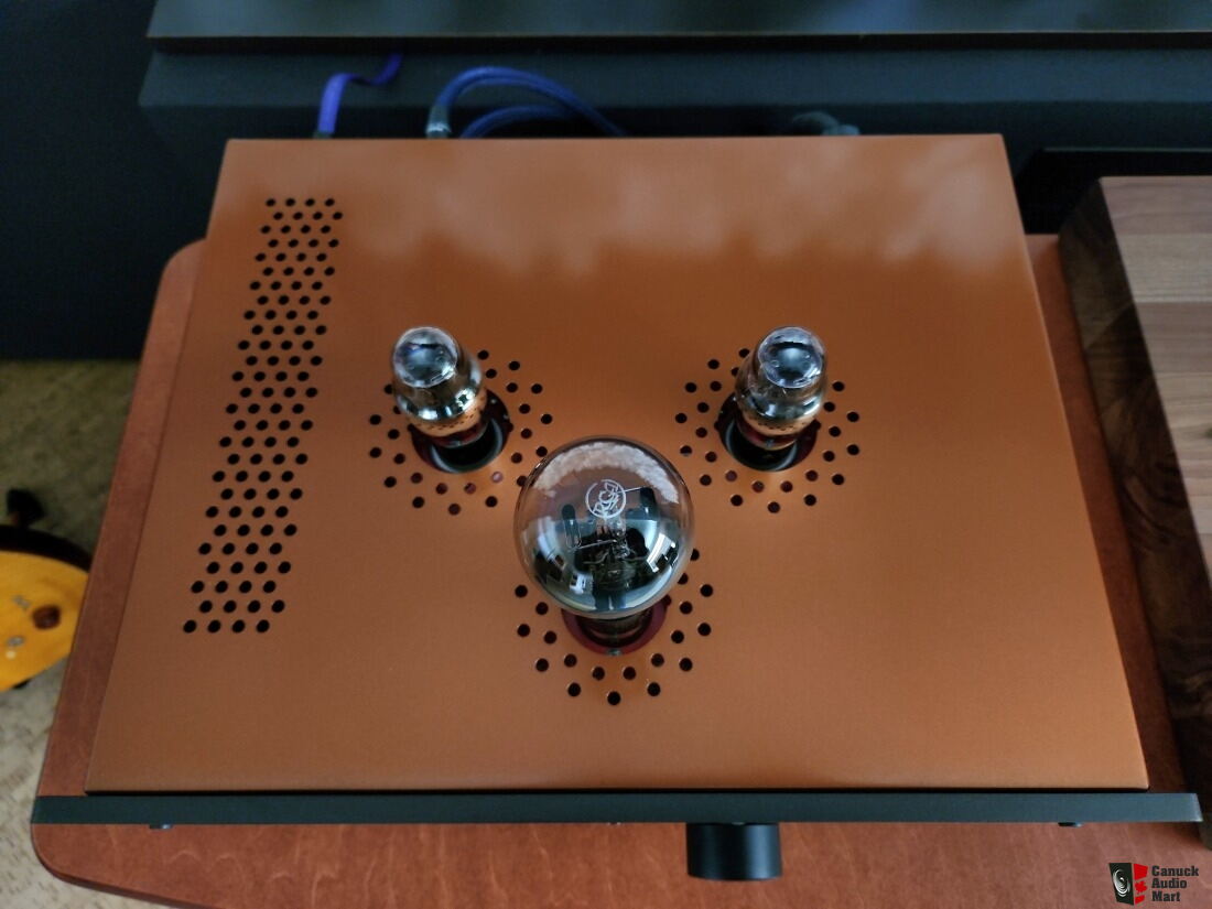 Lampizator Atlantic TRP For Sale - US Audio Mart