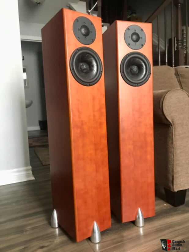 Totem Hawk tower speakers in cherry For Sale - US Audio Mart