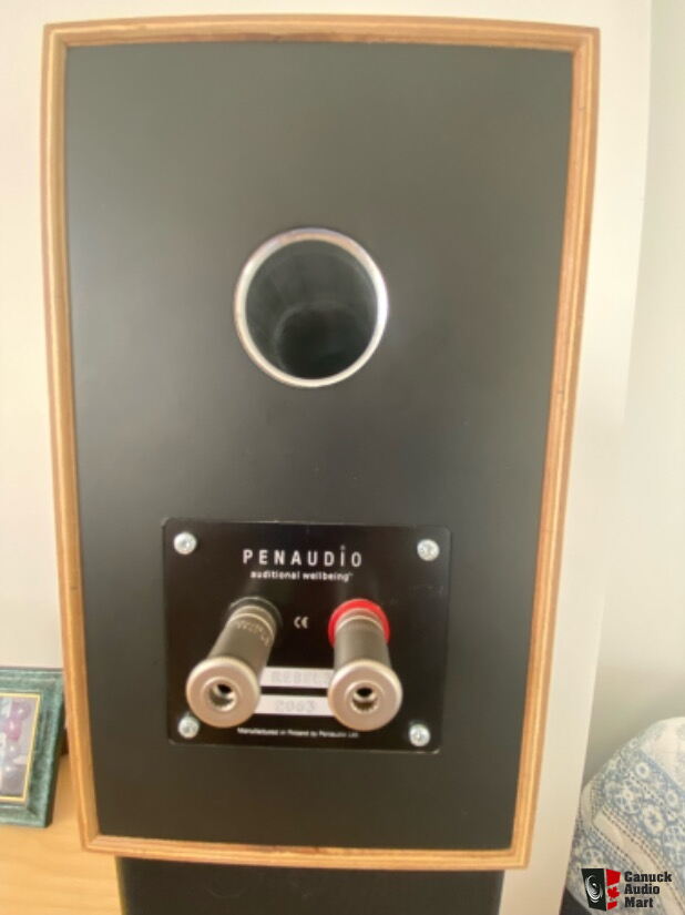Penaudio Rebel 3 // Miniature dynamites // Extremely musical and ...