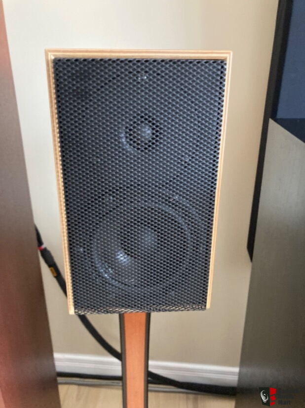 Penaudio Rebel 3 // Miniature dynamites // Extremely musical and ...