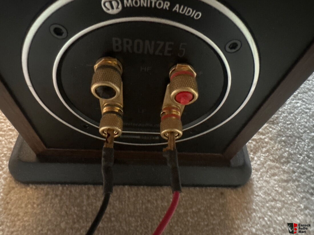 Bluesound Powernode, sub, and Monitor Audio speaker system Photo ...