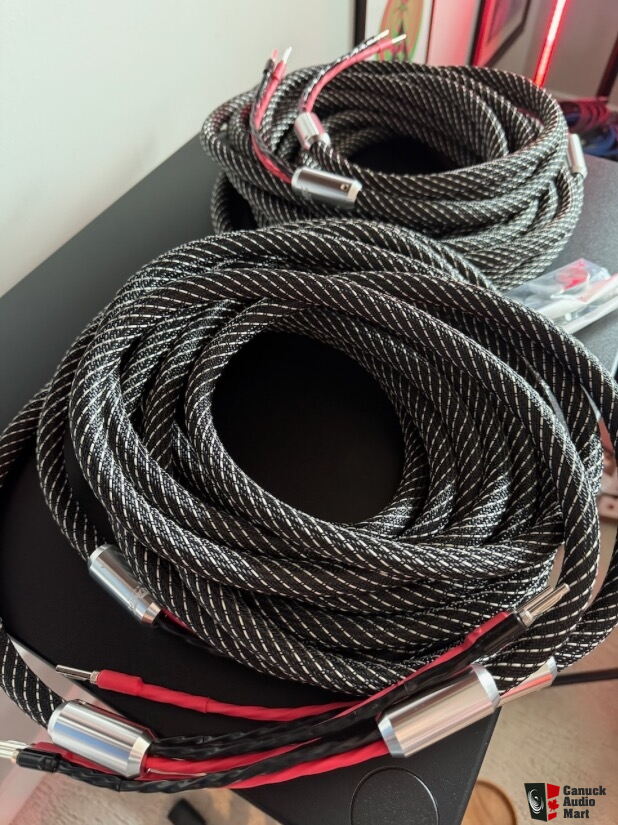 Raven Audio Soniquil Speaker Cables - new - 2M set & 3M set For Sale ...