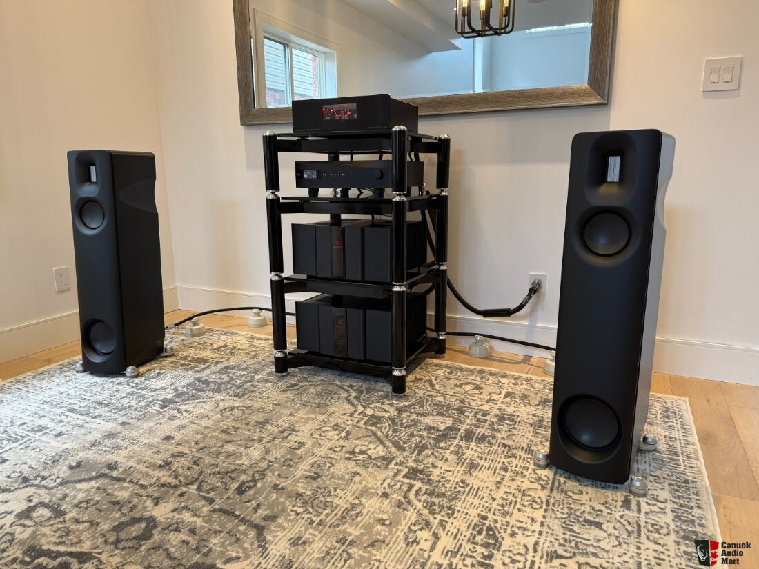 Borresen Z2 Floor Standing Speaker Cryo Edition - $34K MSRP - Less then ...