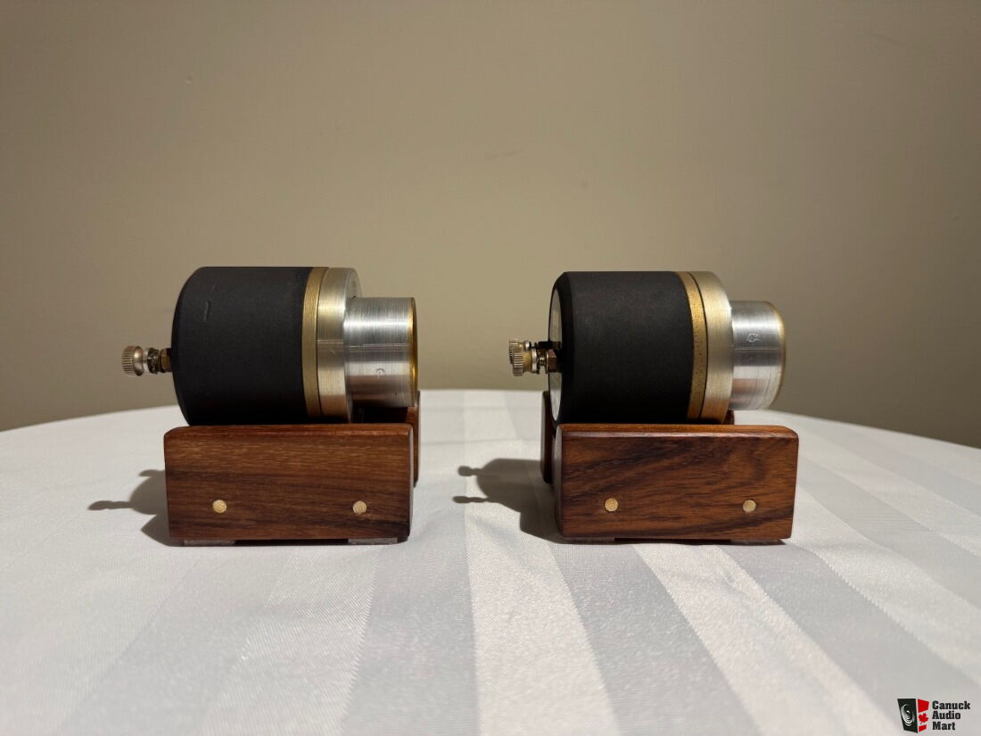 Horn Tweeter - Fostex FT-90H (Included Red oak wooden stands - Made in ...