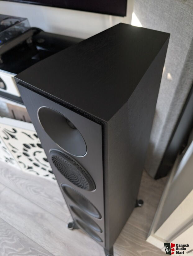 Paradigm Founder 120H Black Walnut Photo #5744936 - Canuck Audio Mart