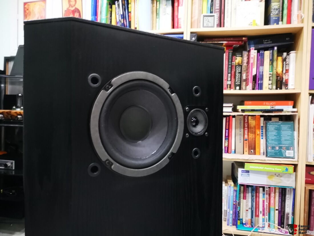 Bose 401 Floorstanding Speakers. Black Finish. Excellent Condition ...