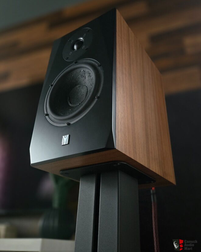 Outstanding bookshelf Yzabel Audio CLASSIC 1 Photo #5753283 - Canuck ...
