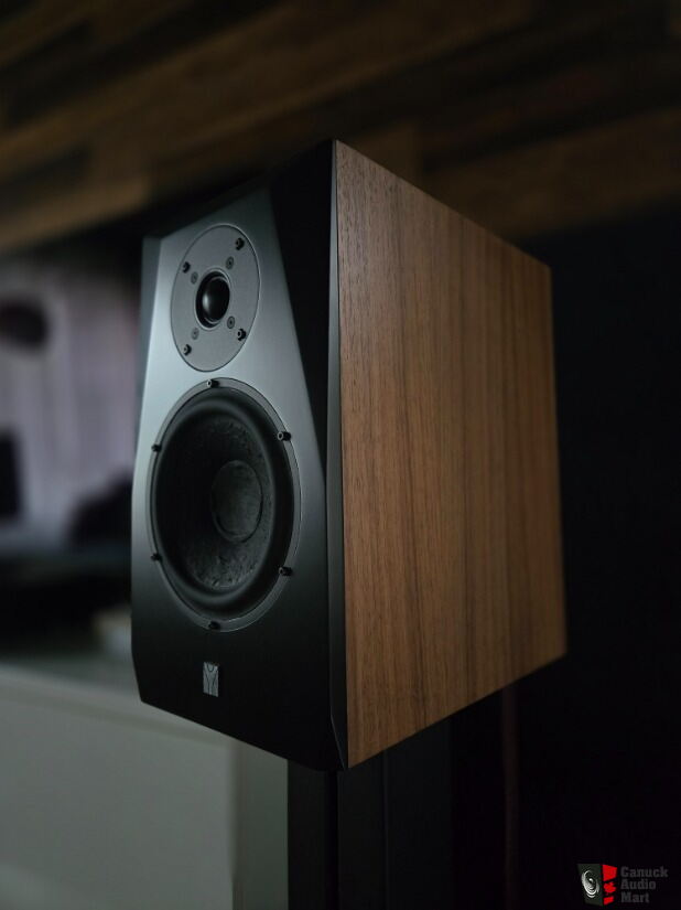 Outstanding bookshelf Yzabel Audio CLASSIC 1 Photo #5753283 - Canuck ...