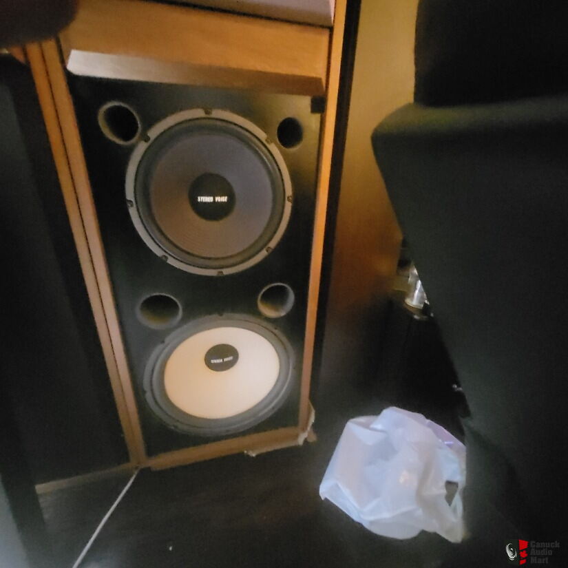 Large Canadian vintage speaker's 1970s extra large drivers unique ...