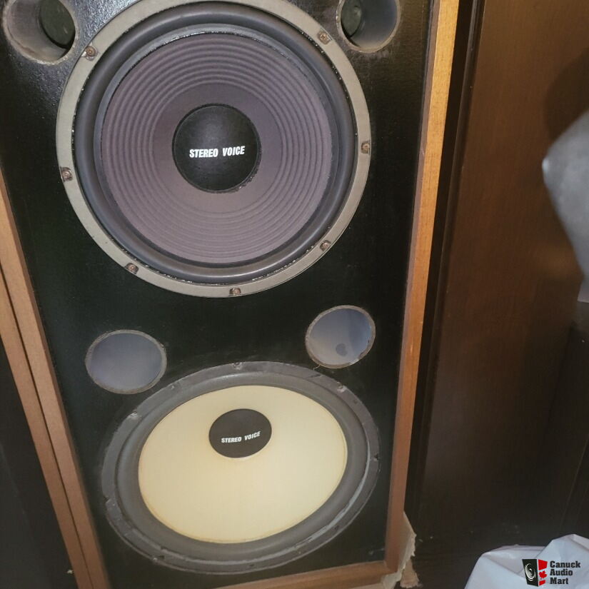 Large Canadian vintage speaker's 1970s extra large drivers unique ...