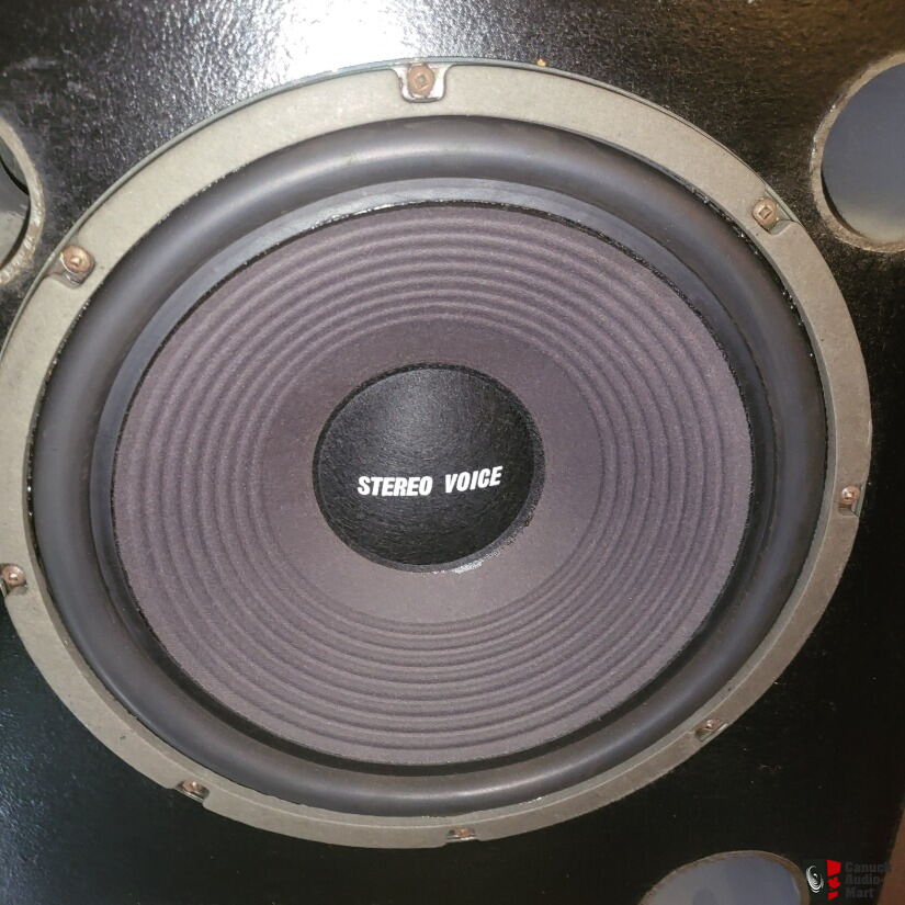 Large Canadian vintage speaker's 1970s extra large drivers unique ...