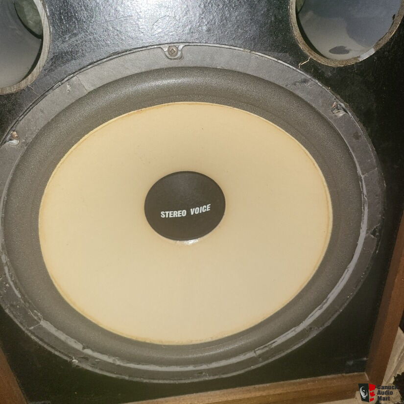 Large Canadian vintage speaker's 1970s extra large drivers unique ...