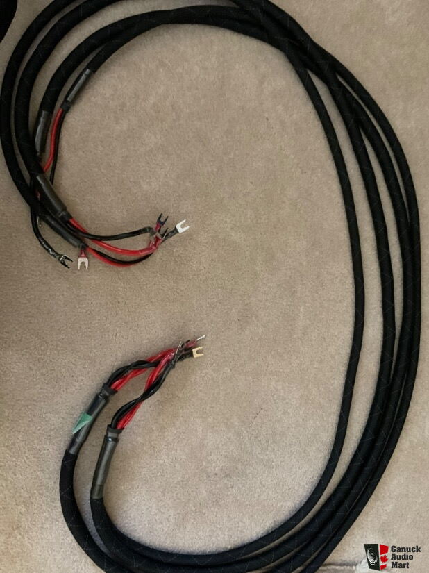 Harmonic Technology Pro 9 Reference 8' Bi-wire Shotgun For Sale ...