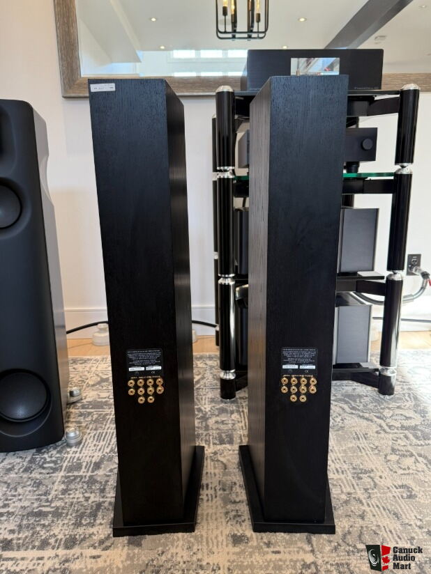 Linn Ninka - Hand Made in UK - Very Nice sounding speakers- Auditions ...