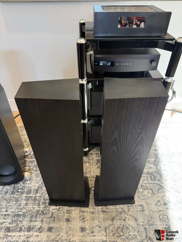 Linn Ninka - Hand Made in UK - Very Nice sounding speakers- Auditions ...