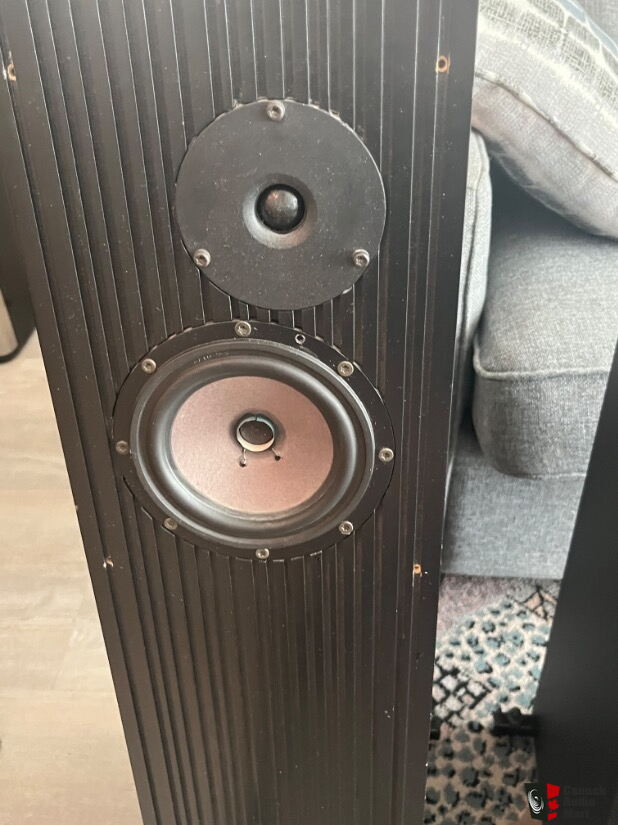 Rega Ela Mk1 floorstanders Photo #5767569 - US Audio Mart