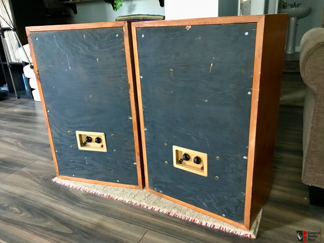Tannoy 12" Monitor Royal Blue pair Photo #5769508 - Canuck Audio Mart