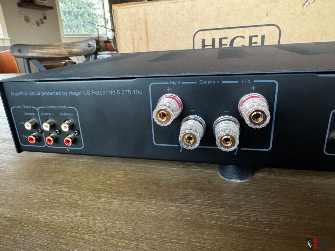 Hegel H95 Amp Photo #5777310 - Canuck Audio Mart