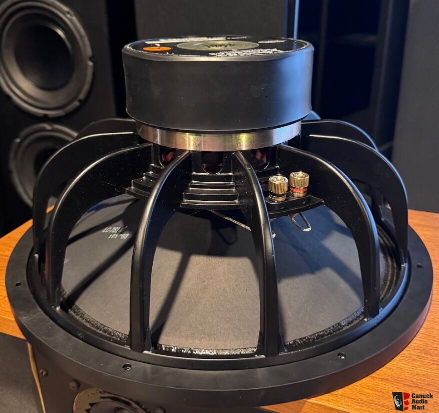 Acoustic Elegance (Lambda Acoustics) TD15M 15in Woofers (Pair) Photo ...