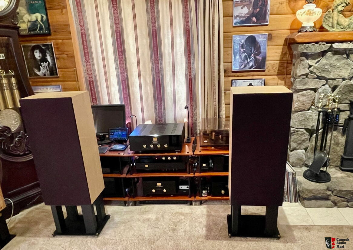 Audio Note AN-E/D Loudspeaker Pair w/ Original Audio Note Model E ...