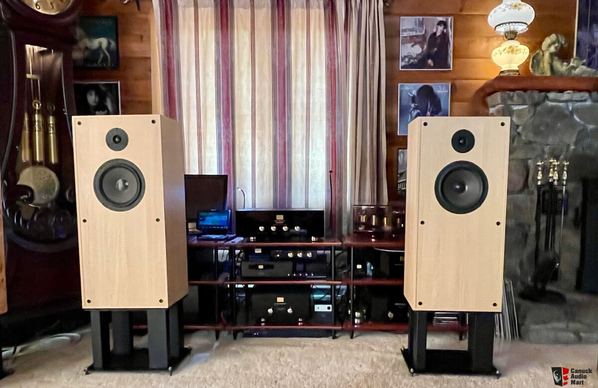 Audio Note AN-E/D Loudspeaker Pair w/ Original Audio Note Model E ...