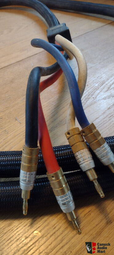 vintage top of line ps audio speaker cables bi wire Photo #5792407 ...