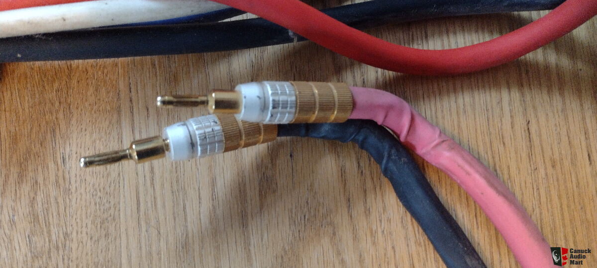 vintage top of line ps audio speaker cables bi wire Photo #5792407 ...
