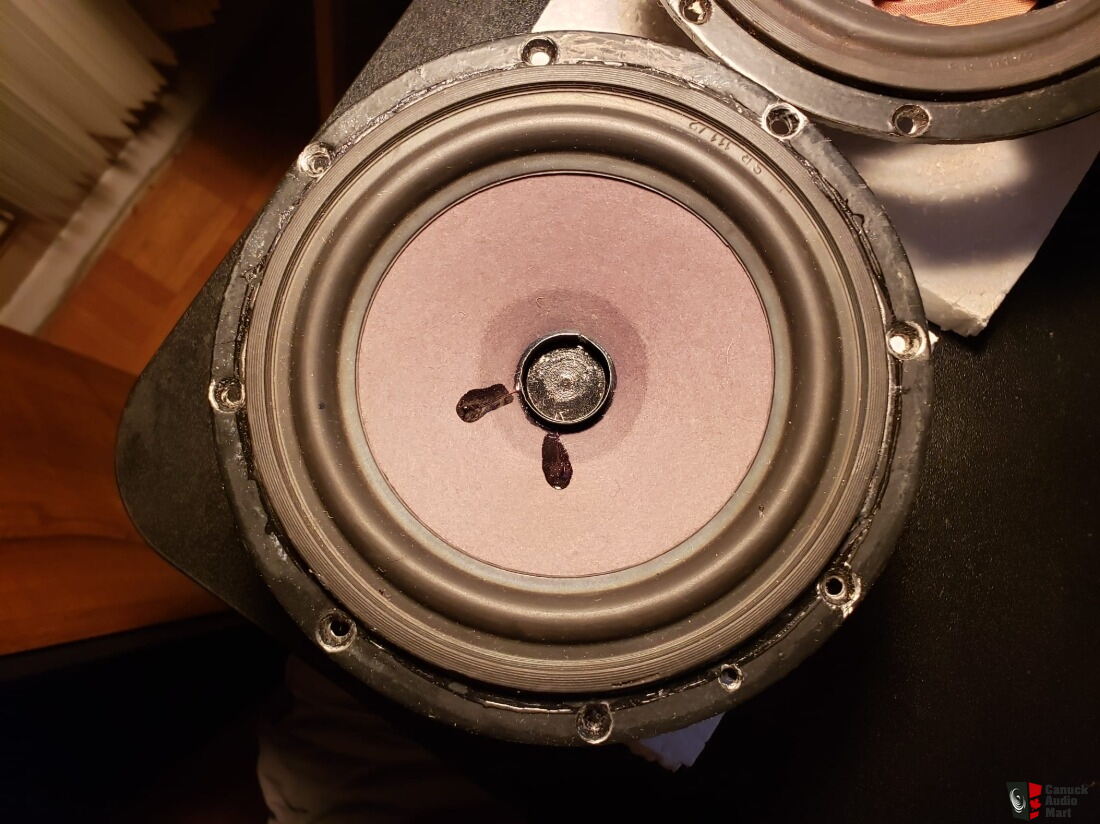 Royd Driver for Rega Ela Mk1 or Mk1.25 For Sale - Canuck Audio Mart