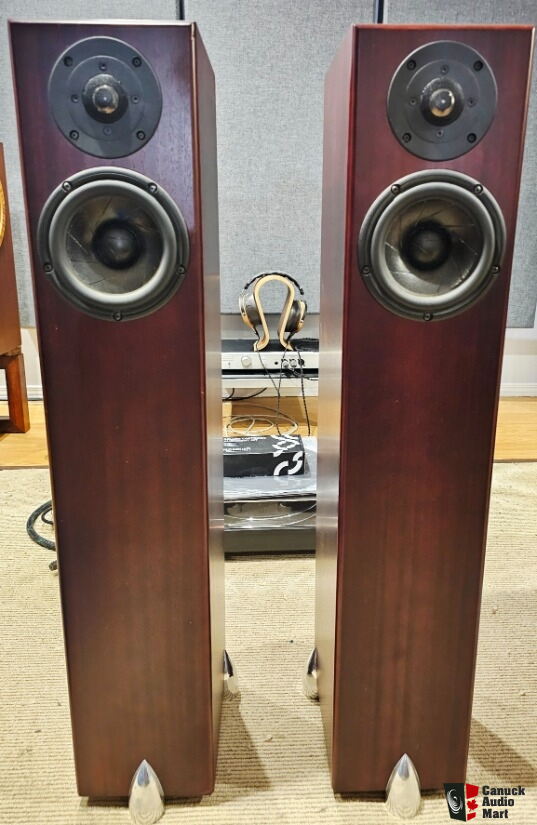 Totem Hawk speakers - Mahogany For Sale - US Audio Mart